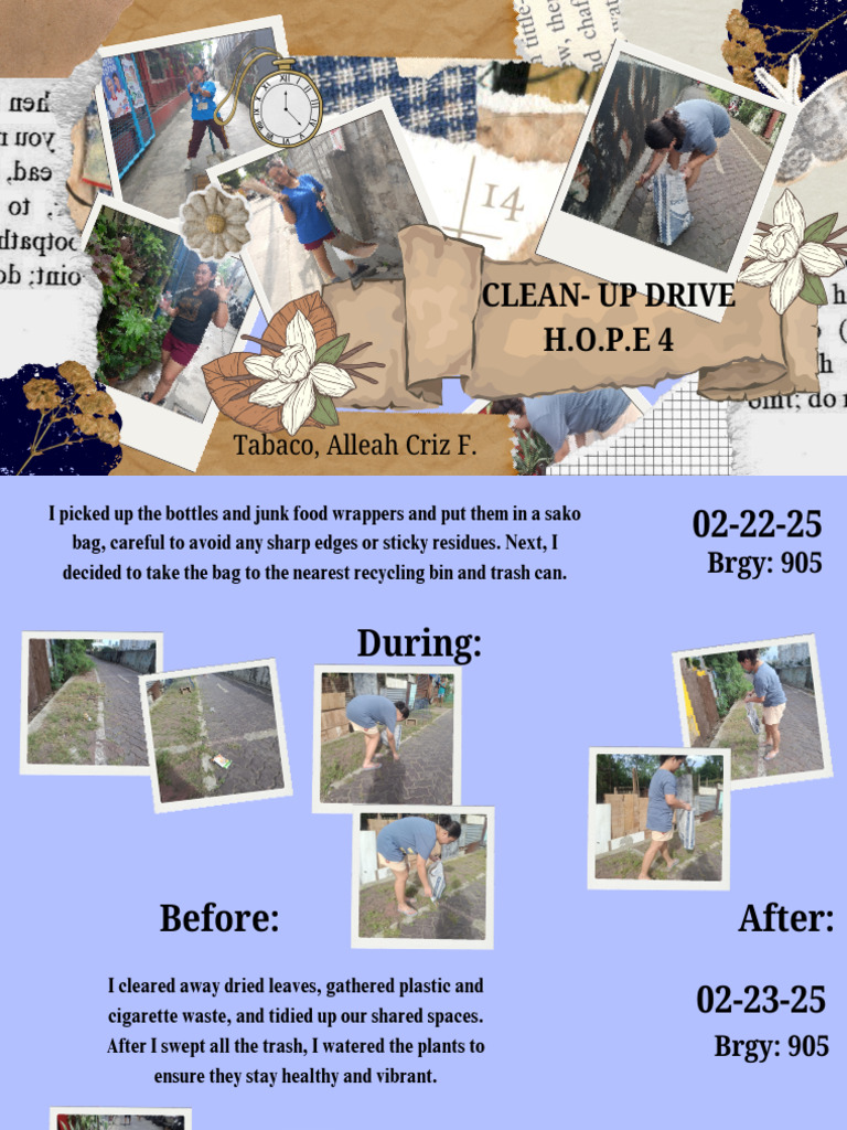 Community Clean-Up Drive Summary | PDF