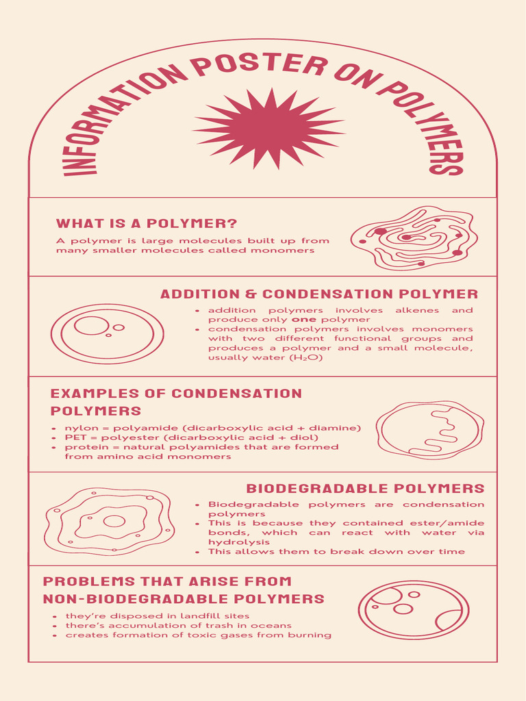 Polymers Infographic | PDF