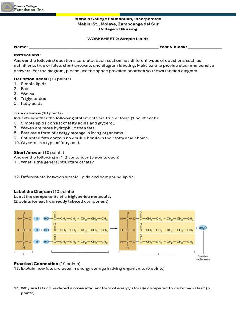 Biochem Lipids Worksheets 2-4 | PDF | Lipid | Phospholipid