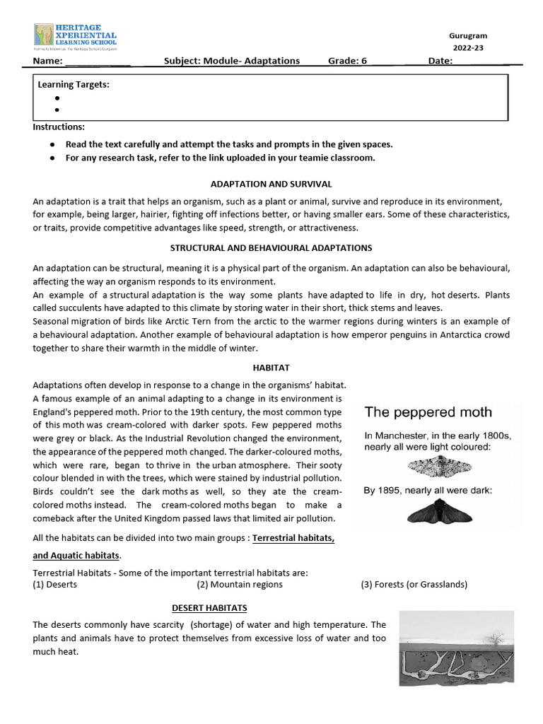 Adaptations- Reading and tasks | PDF | Desert | Habitat