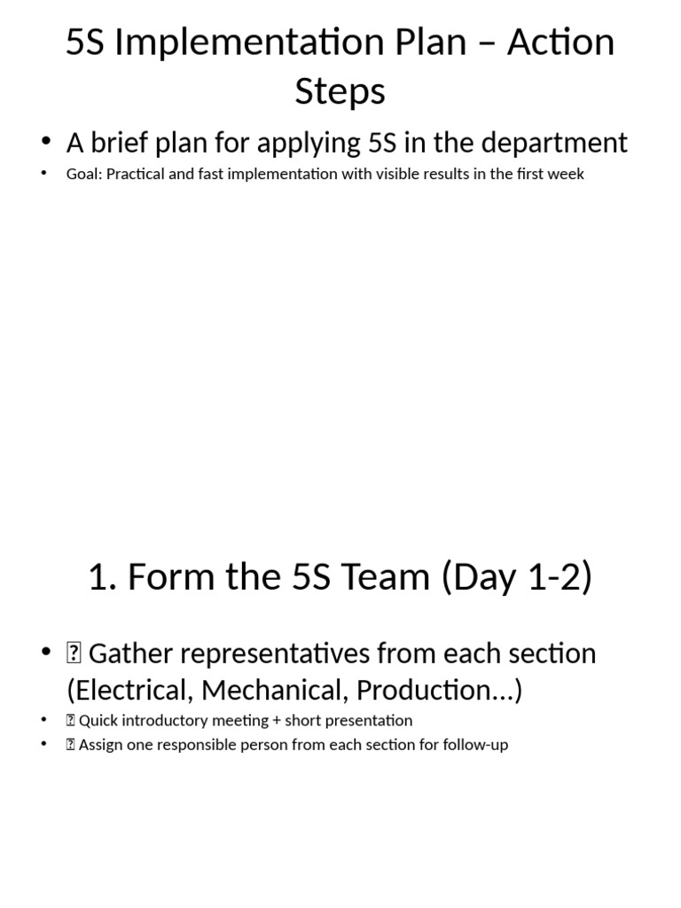 5S Implementation Action Plan EN | PDF