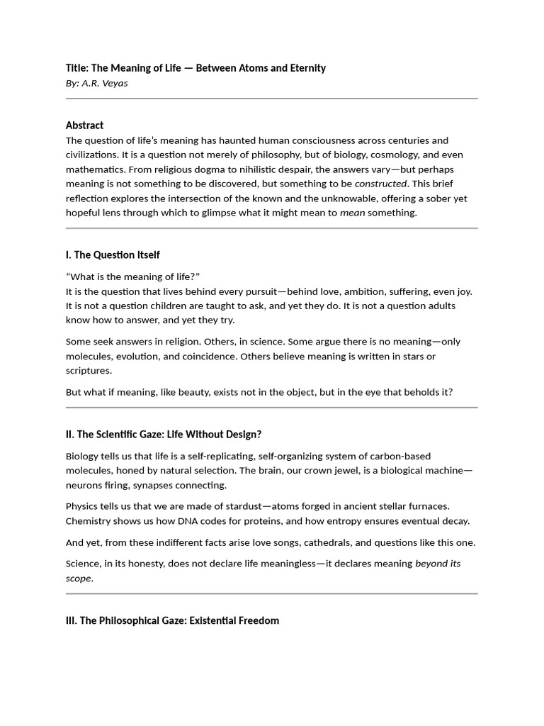 Meaning of Your Damn Life | PDF | Meaning Of Life