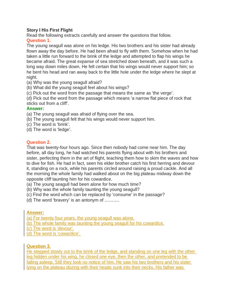 Young Seagull's First Flight Journey | PDF | Storms | Airplane