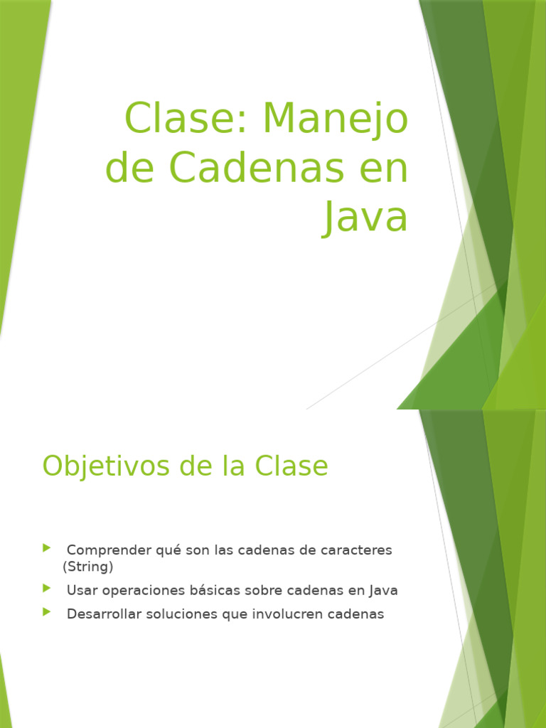 Manejo Cadenas Java Con Conceptos | PDF