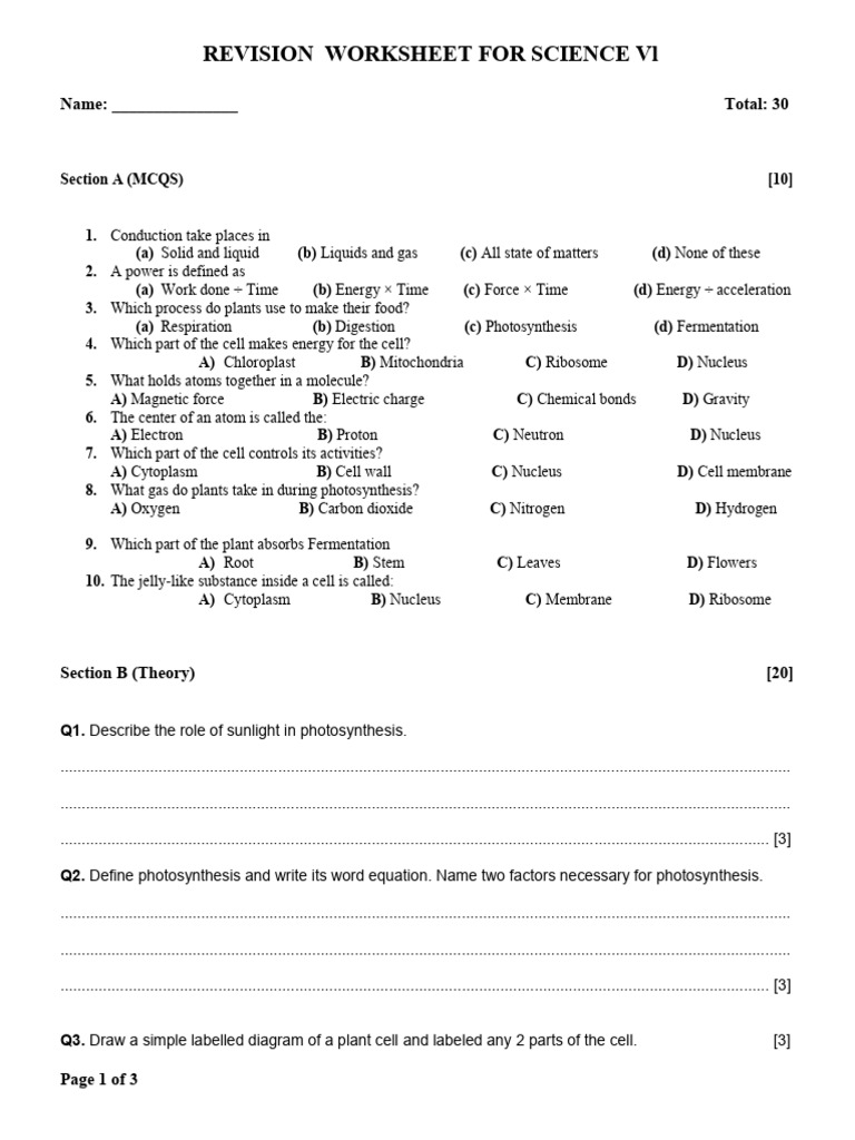 science worksheet | PDF | Photosynthesis | Cell (Biology)