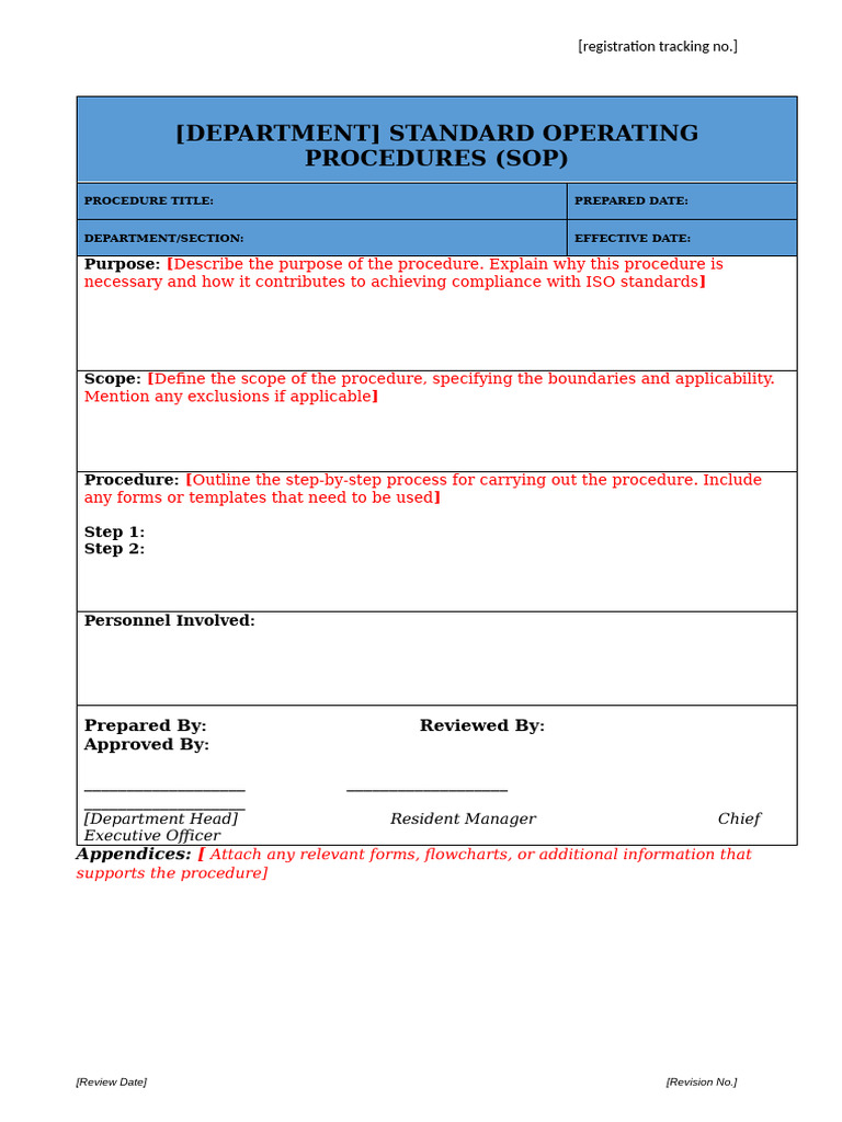 Format Iso Procedure | PDF