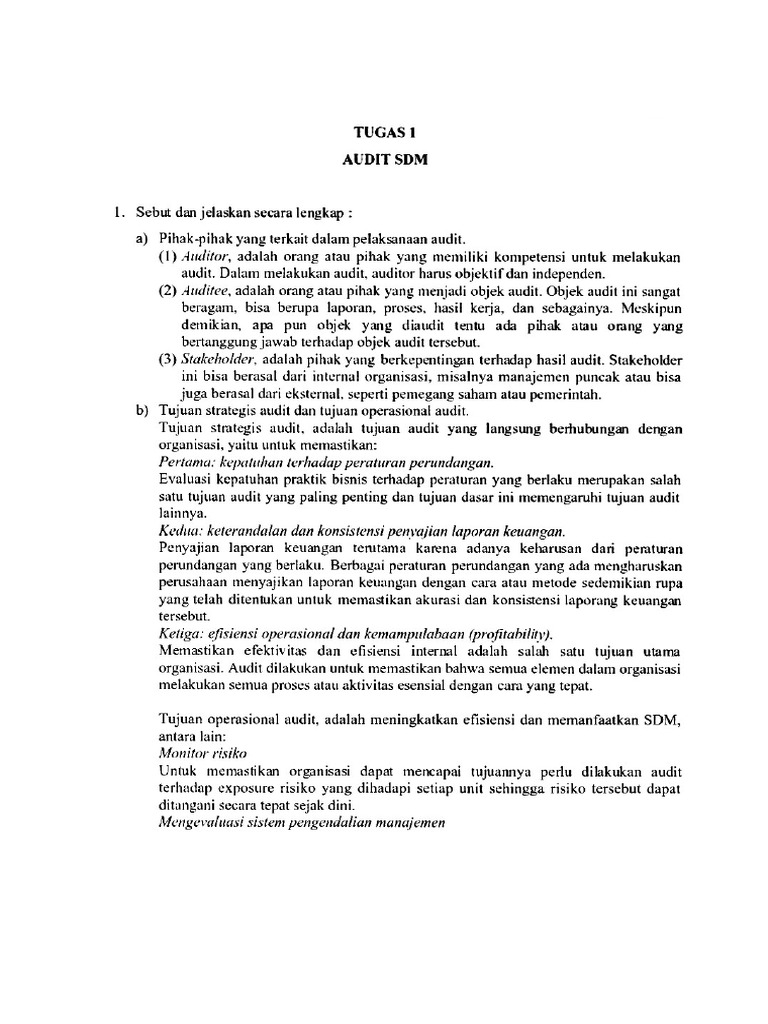 Tugas - 1 Audit SDM | PDF