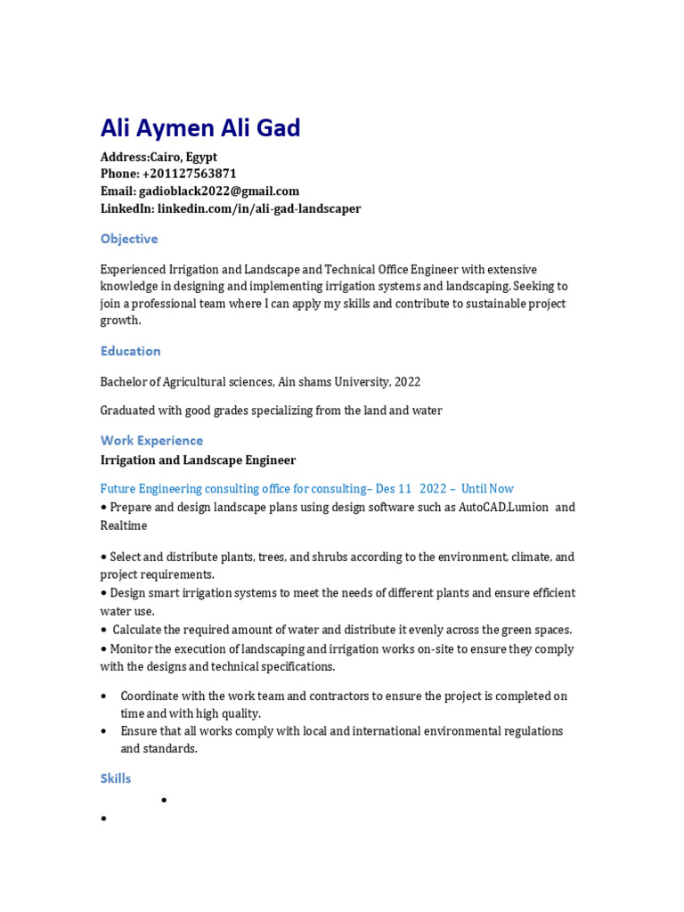 Ali Gad CV | PDF