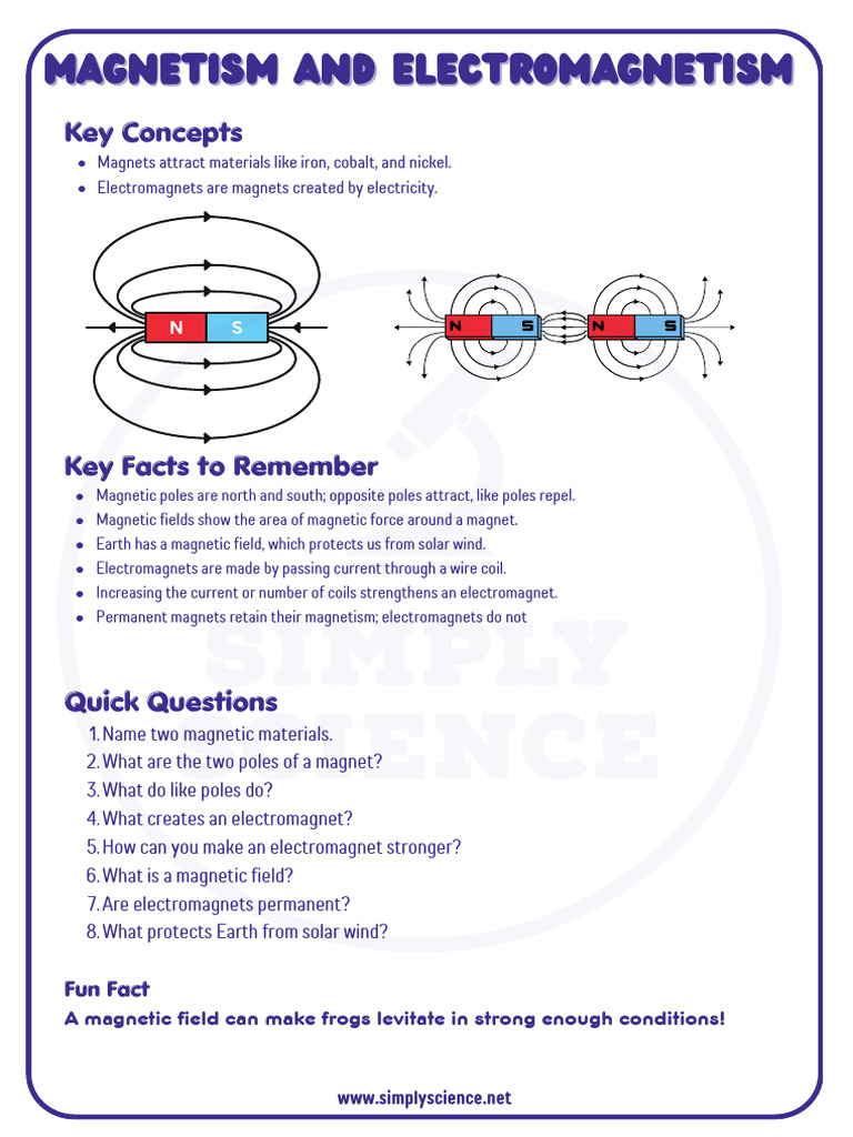 KS3 Physics Fact Sheets - Magnetism | PDF