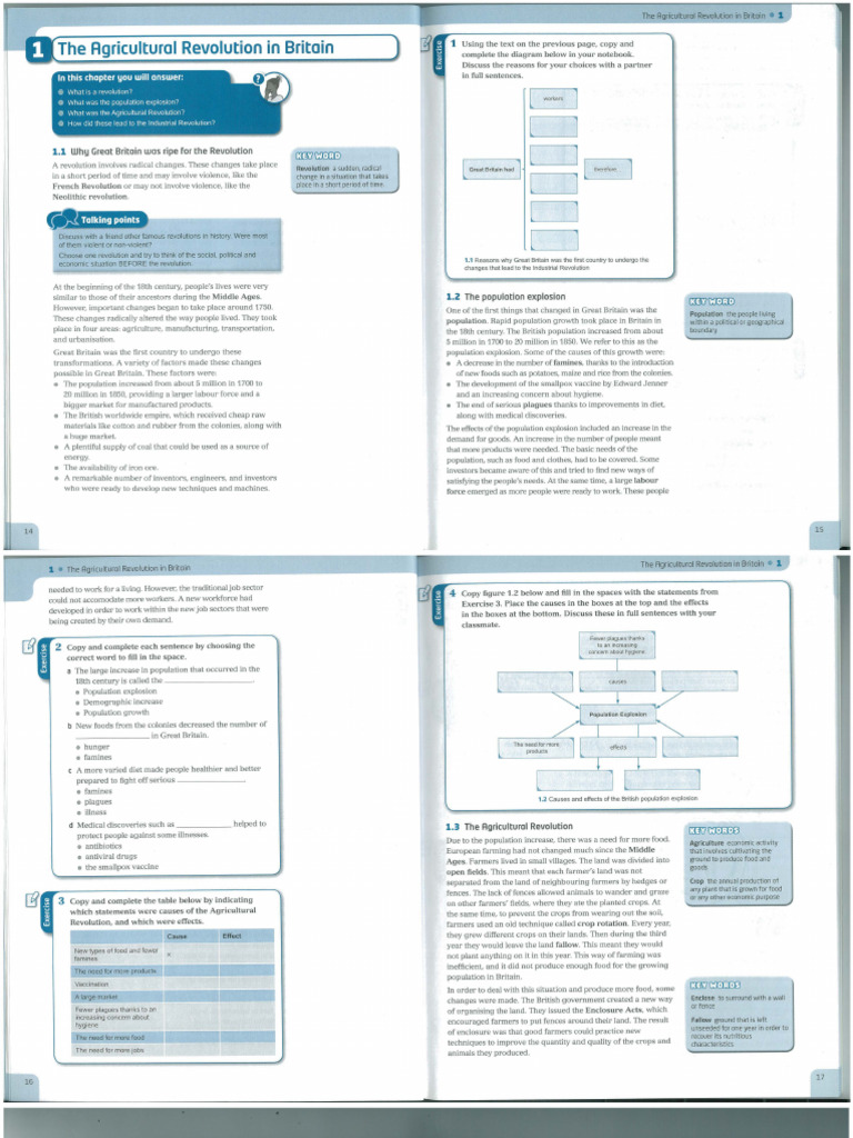 KS3 History | PDF | Crop Rotation | Enclosure