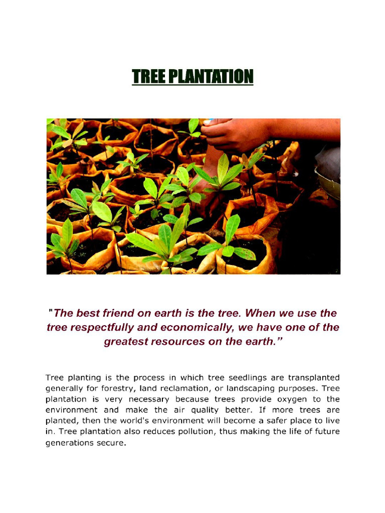 Tree Plantation | PDF