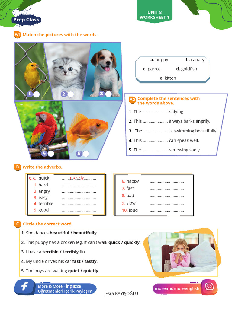 Prep Class - Unit 8 - Worksheet 1 | PDF