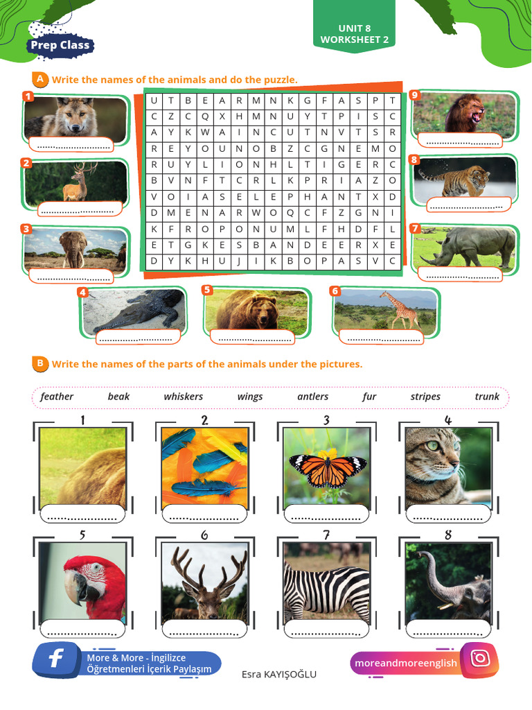 Prep Class - Unit 8 - Worksheet 2 | PDF