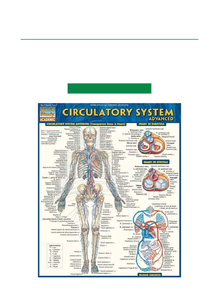 QUICKSTUDY CIRCULATORY SYSTEM ADVANCED - 1st Edition Enhanced Ebook ...