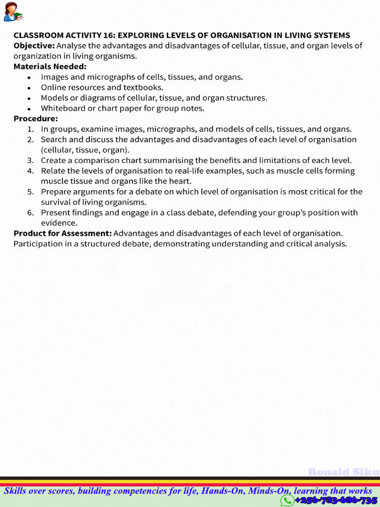 Levels of Organisation | PDF