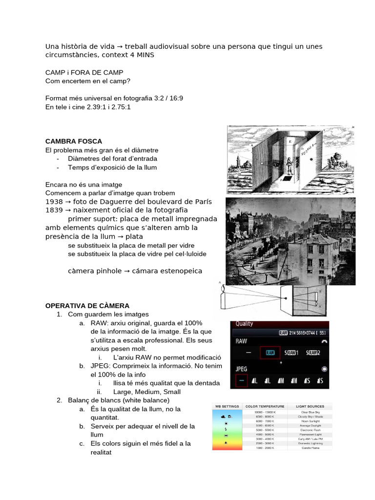 Apunts Bruts (Llenguatge I Tecnica de La Imatge I El So) | PDF