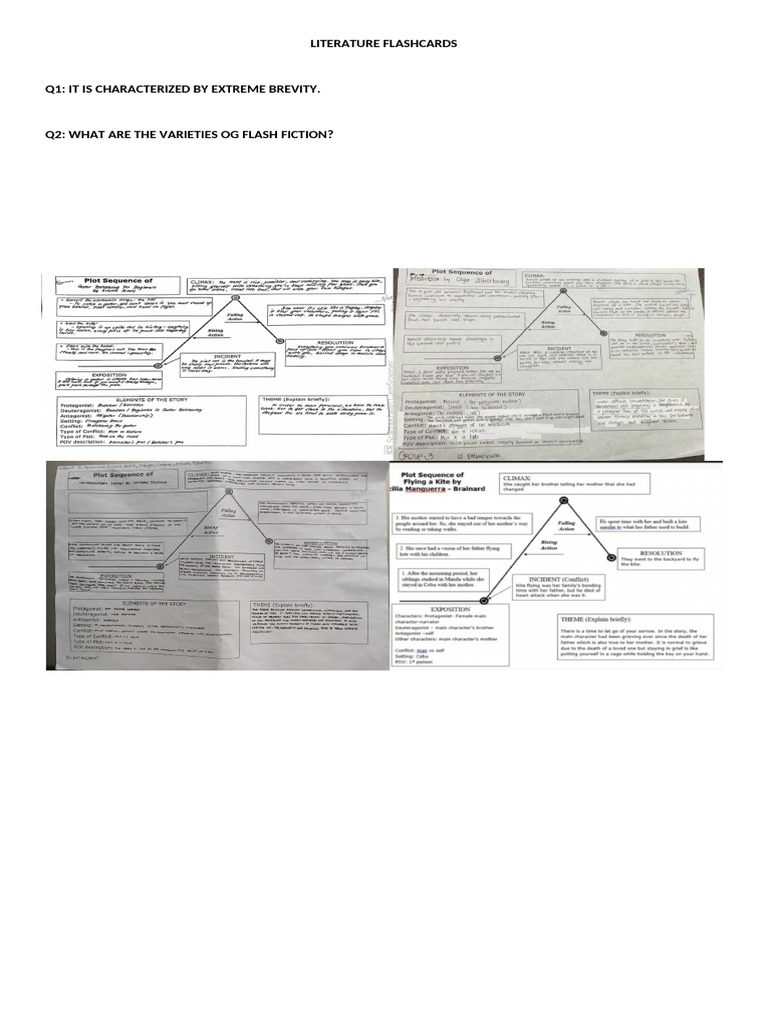 Literature Flashcards | PDF