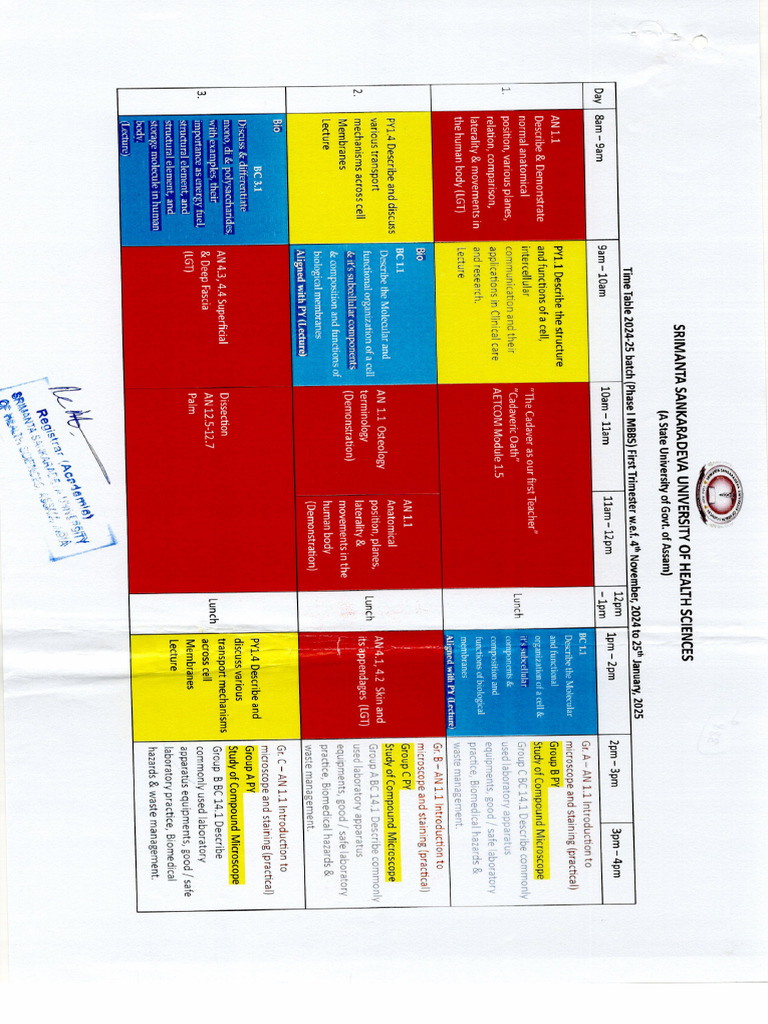 Routine-Curriculum For Phase I 1st Trimester MBBS Batch 2024-25 | PDF