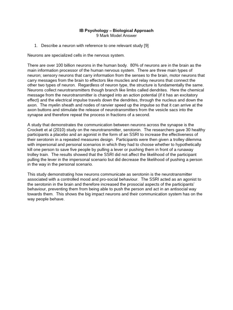 4a. Neuron SAQ Model Answer | PDF | Neuron | Neurotransmitter