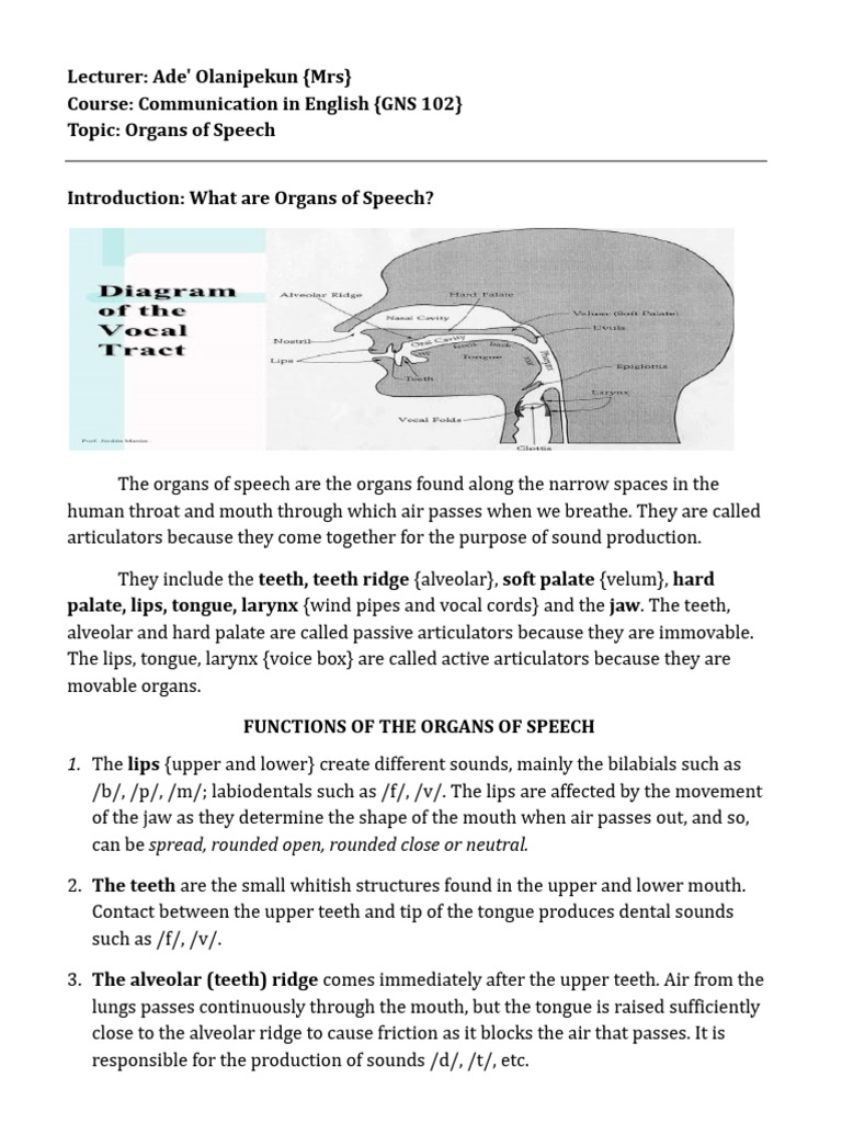 (GNS 102) Oral Presentations | PDF | Stress (Linguistics) | Phonetics