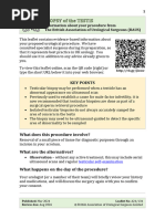 Prostate Fossa Contouring Guide | PDF | Prostate | Urinary Bladder