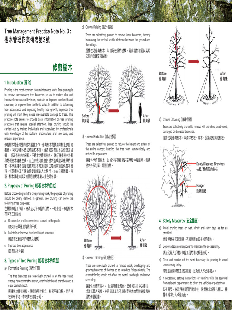 Tree Management Practice Note No3 | PDF