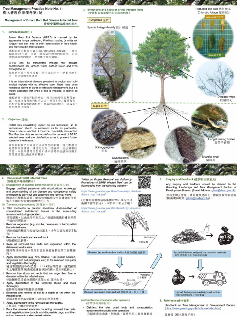 Tree Management Practice Note No4 | PDF