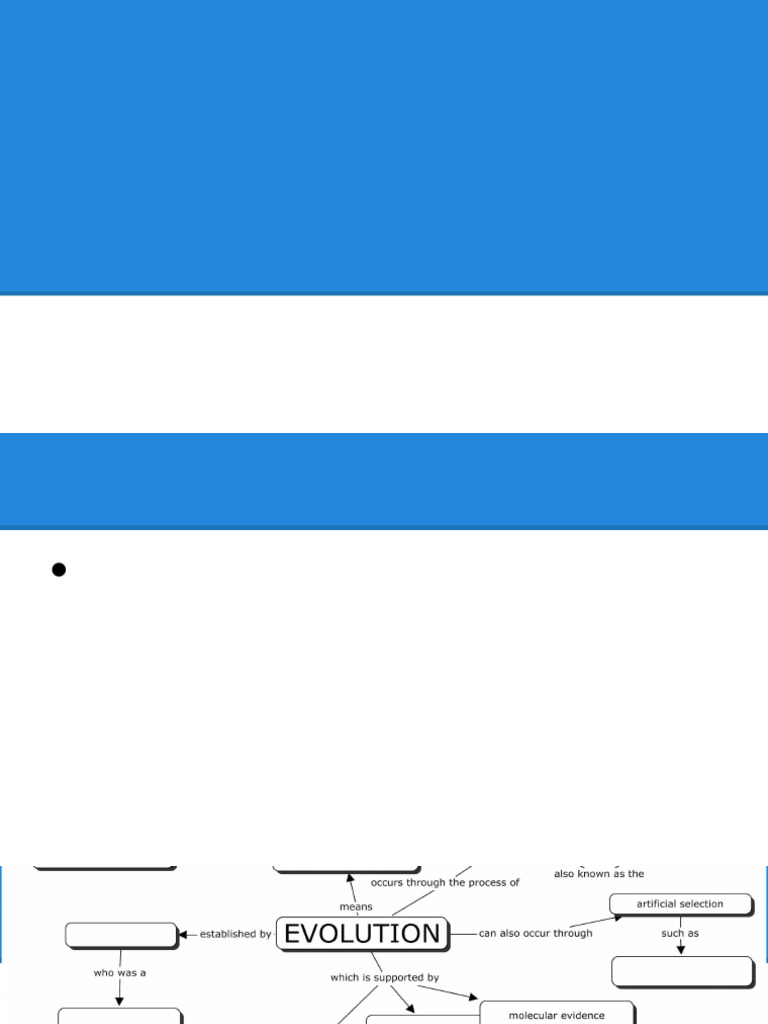 Unit 6 - Evolution (Part 2) - 2024 | PDF | Homology (Biology) | Species