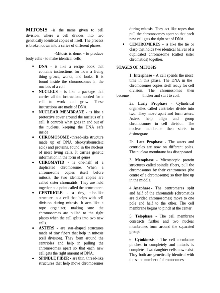 my reviwer in science | PDF | Meiosis | Mitosis