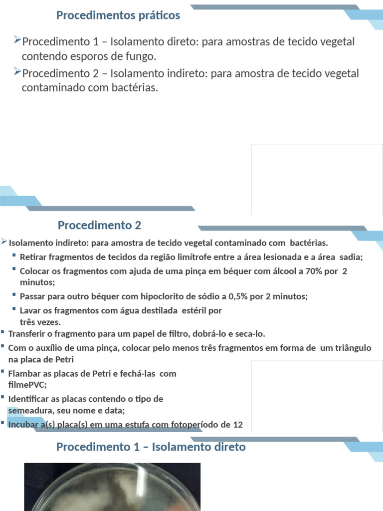 Ap4 Isolamento de Microorganismos | PDF