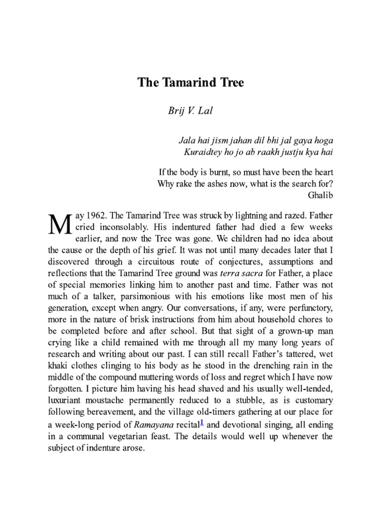 Tamarind Tree | PDF