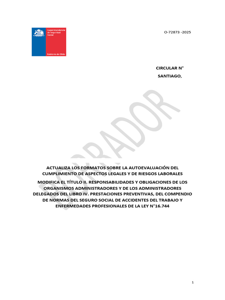 Borrador Proyecto (Autoevaluaciones) | PDF | Seguridad y salud ocupacional | Oxígeno