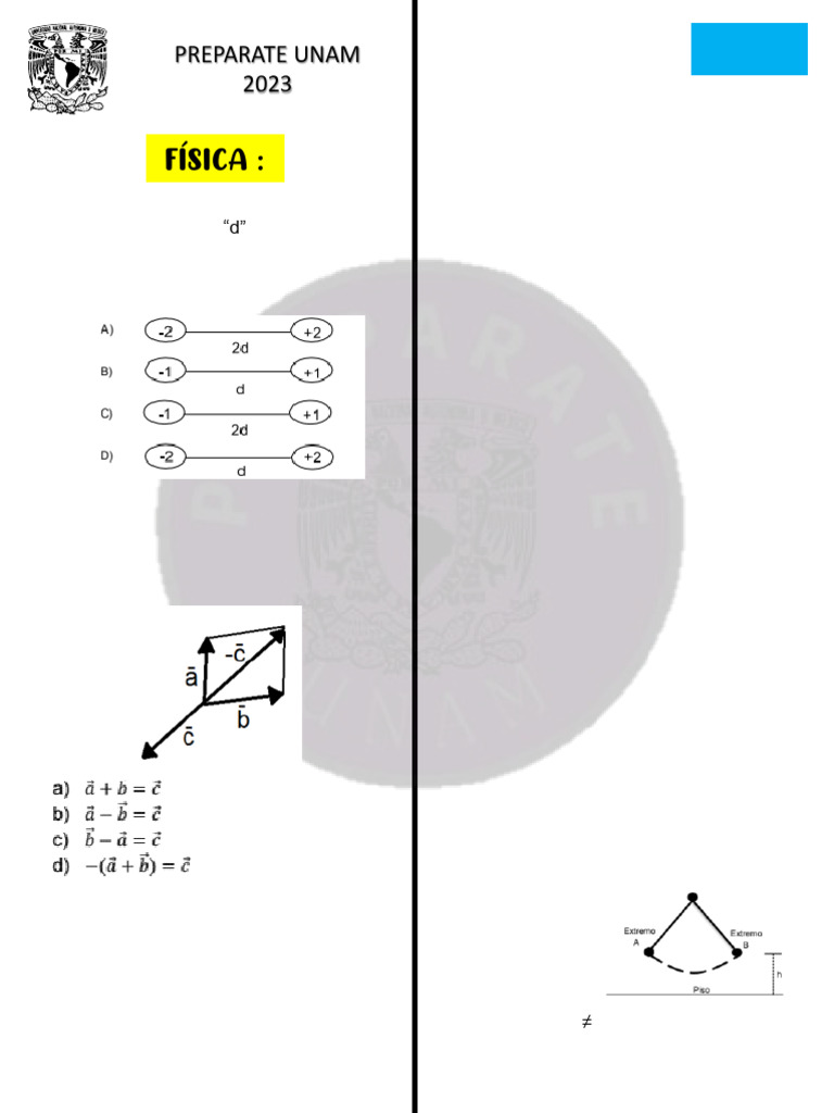Examen Simulacro Area 3 | PDF | Hueso | Energía potencial