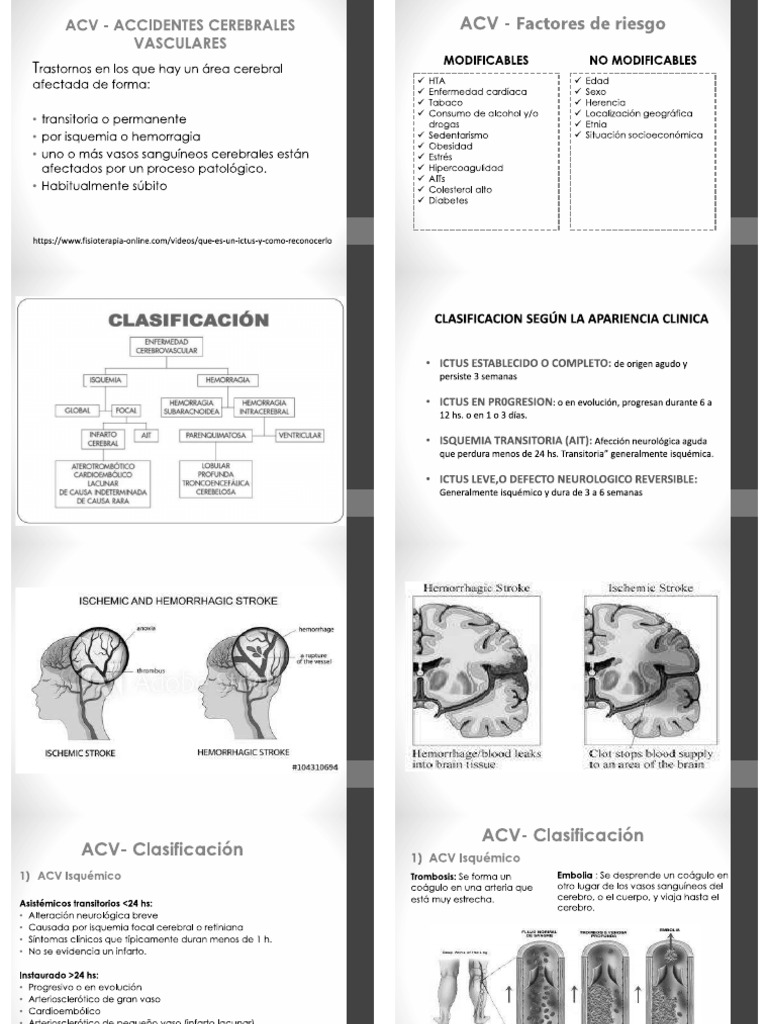 ACV Apunte | PDF