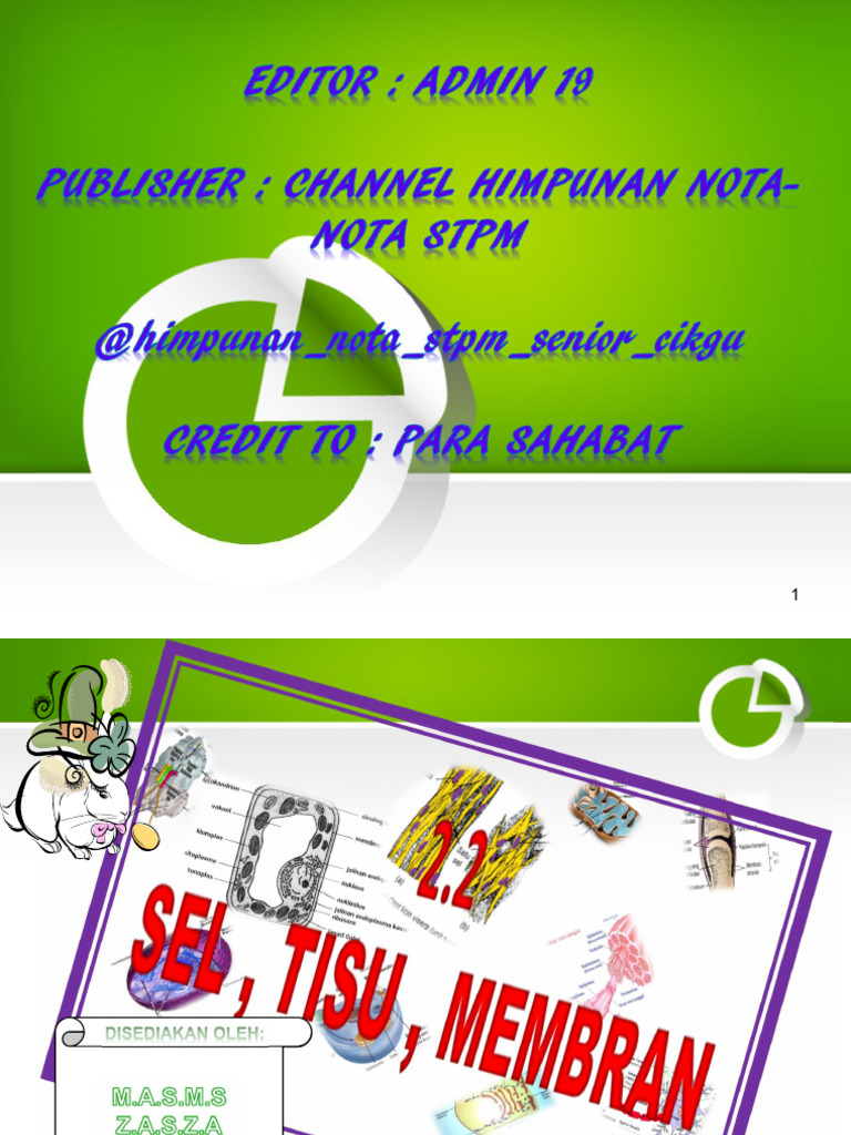 6.2 Sel Tisu Membran | PDF