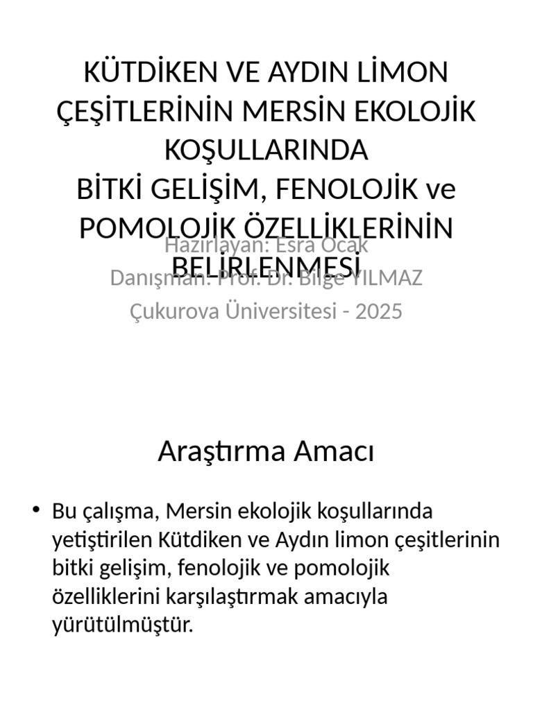 Esra Ocak Grafikli Tez Sunumu | PDF