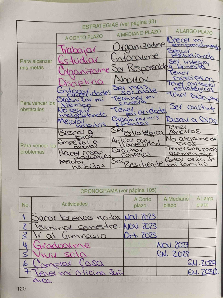 Proyecto 2 | PDF