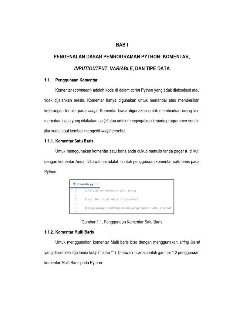 BAB I Pengenalan Dasar Pemrograman Python - Komentar, Input - Output, Variable, Tipe Data | PDF