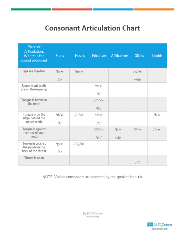 UPDATE Consonant Classification and Articulation Charts 9-13-2022 | PDF ...