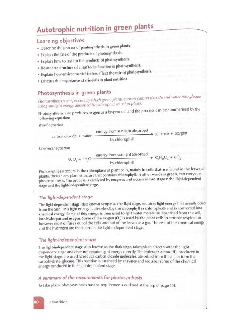 Autotrophic Nutrition in Green Plants | PDF