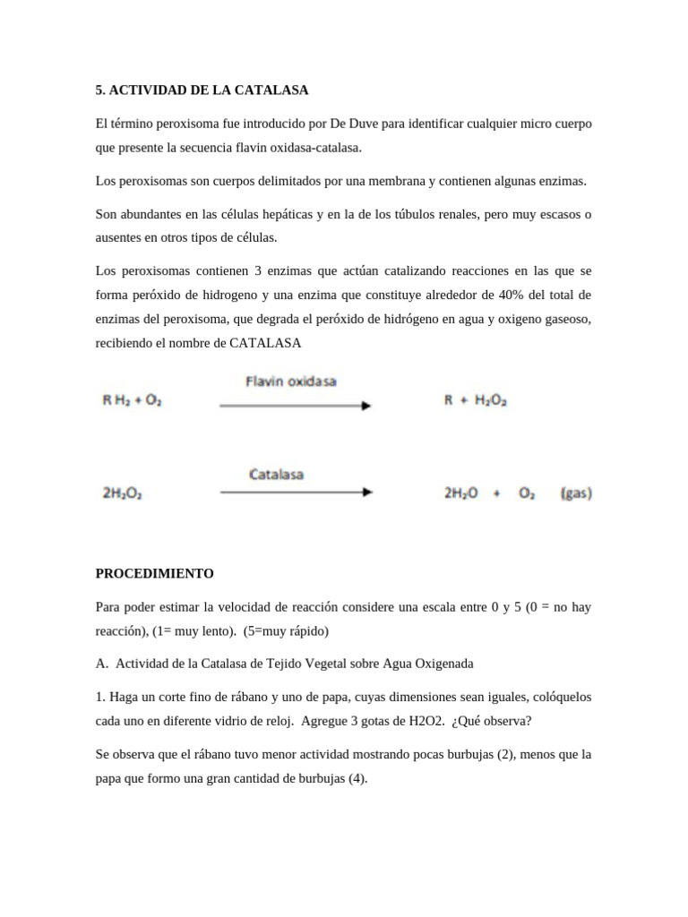 Catalasa | PDF | Enzima | Sustrato (Química)