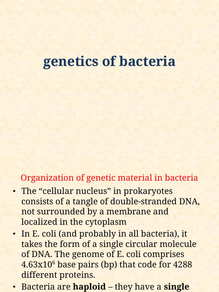 Genetics of Bacteria 13 | PDF | Dna | Gene