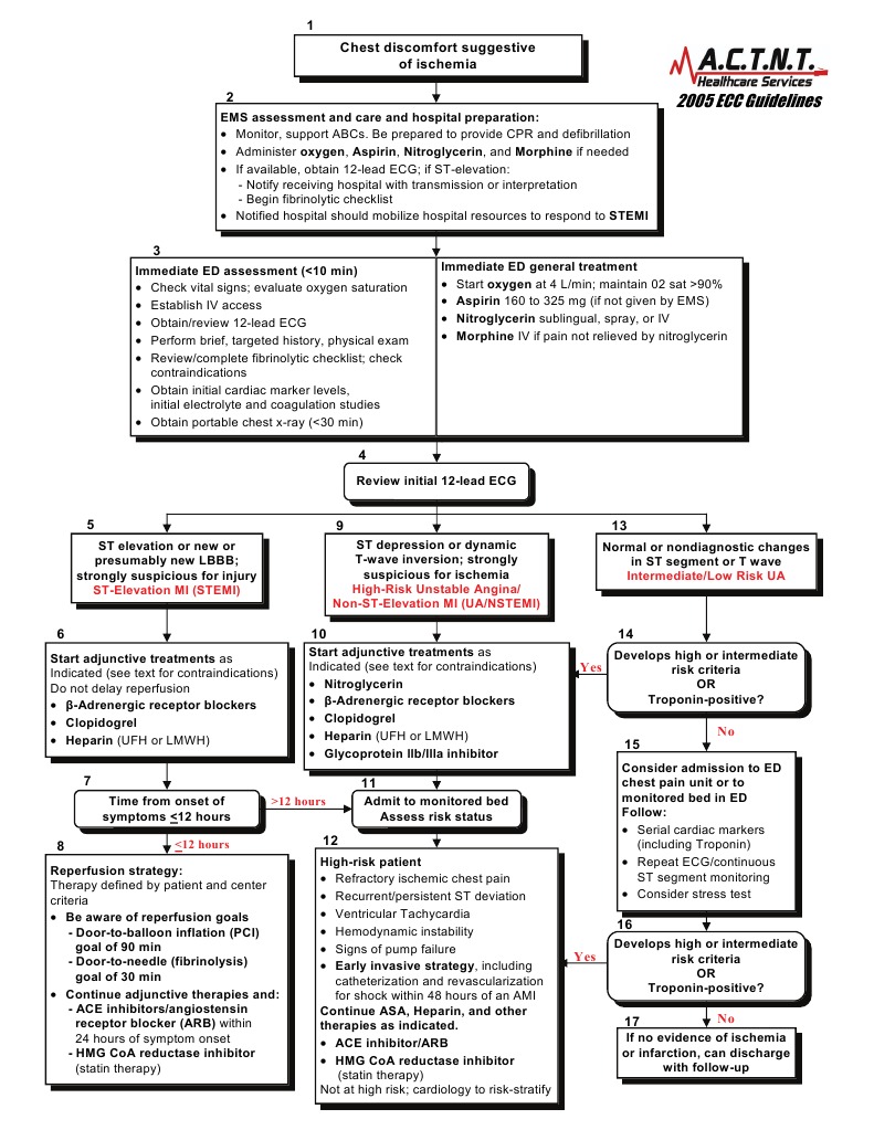 Chest Pain Algorithm | PDF | Myocardial Infarction | Angina Pectoris