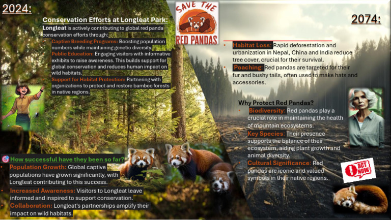 Longleat Poster | PDF | Conservation Biology | Giant Panda