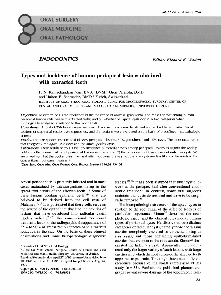 Human Periapical Lesions Study | PDF | Epithelium | Medical Specialties