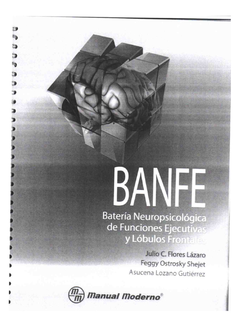 Abrir BANFE Manual | PDF