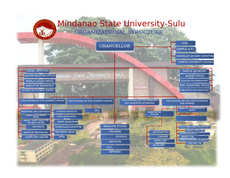 MSU-Sulu Organizational Structure Overview | PDF | Universities And ...