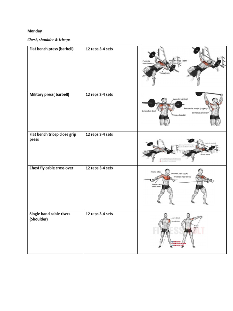 12 Week Transformation 2-4 Weeks - 112737 | PDF | Weight Training ...