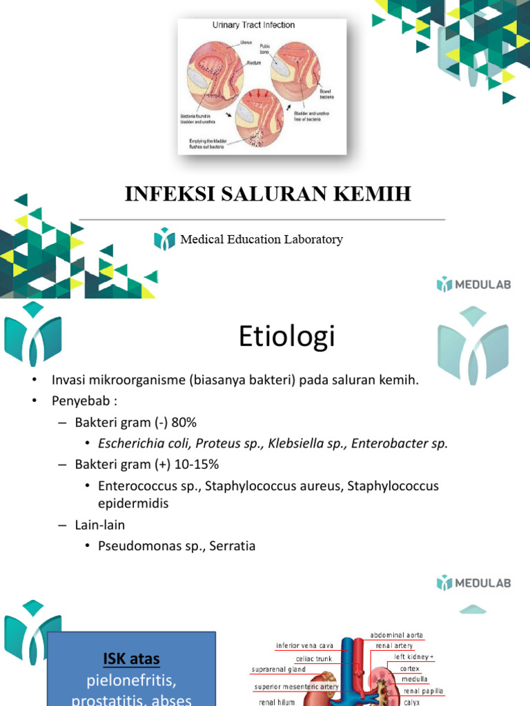 Infeksi Saluran Kemih, Batu Saluran Kemih, Trauma Urologi (Final) | PDF
