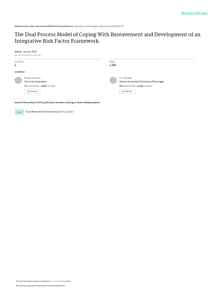 The Dual Process Model of Coping With Bereavement and Development of An Integrative Risk Factor ...